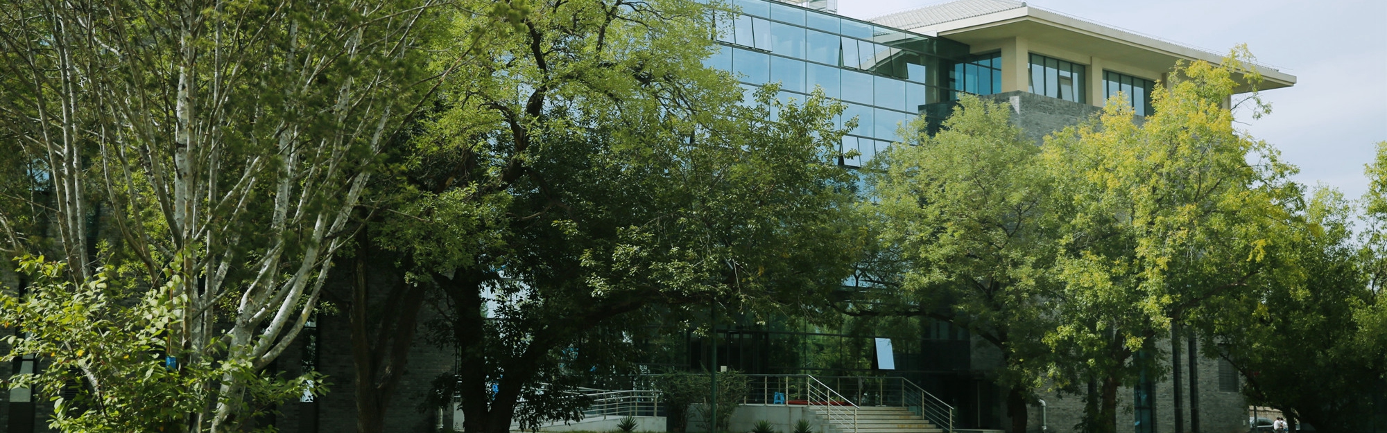 北京大学idg麦戈文脑科学研究所